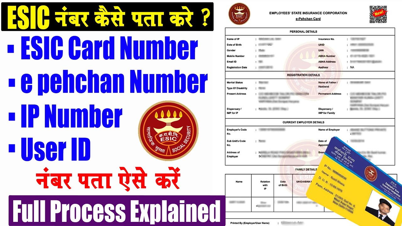 ESIC नंबर कैसे पता करे ? | Esic ip number kaise pata kare | ESIC Number ...
