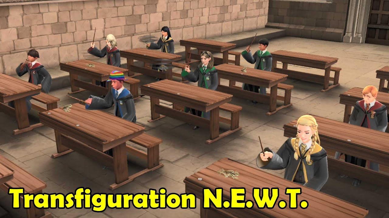 Transfiguration N.E.W.T. Harry Potter Hogwarts Mystery - YouTube