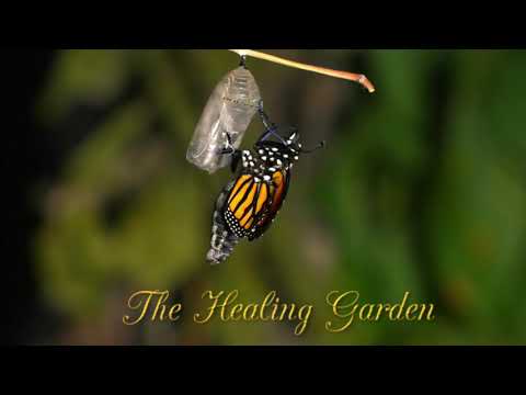 PERSIAN FLOWER - Poem On Ramadan - Jalāl ad-Dīn Mohammad Rūmī