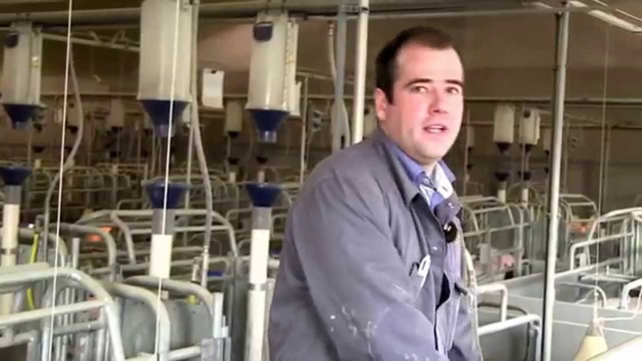 Tom Maertens Torhout BE - YouTube