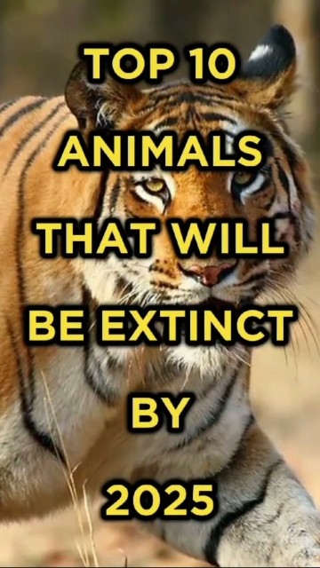 Top 10 animal that will extinct by 2025 #shorts #animals - YouTube