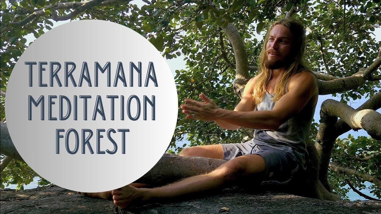 Prožijte Život v Harmonii s Přírodou v Terramana Meditačním Lese - YouTube