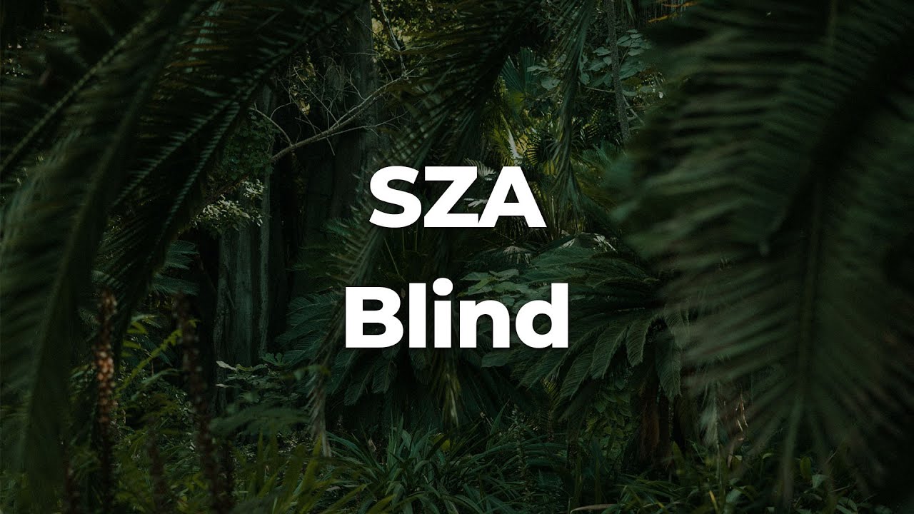 SZA - Blind (Letra/Lyrics) | Official Music Video - YouTube
