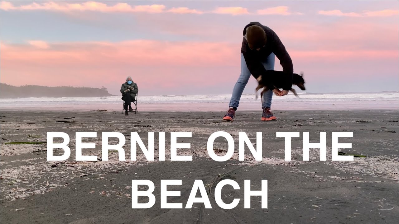 Bernie Sanders Watches a Cute Dog Do Tricks at the Beach | 2021 - YouTube