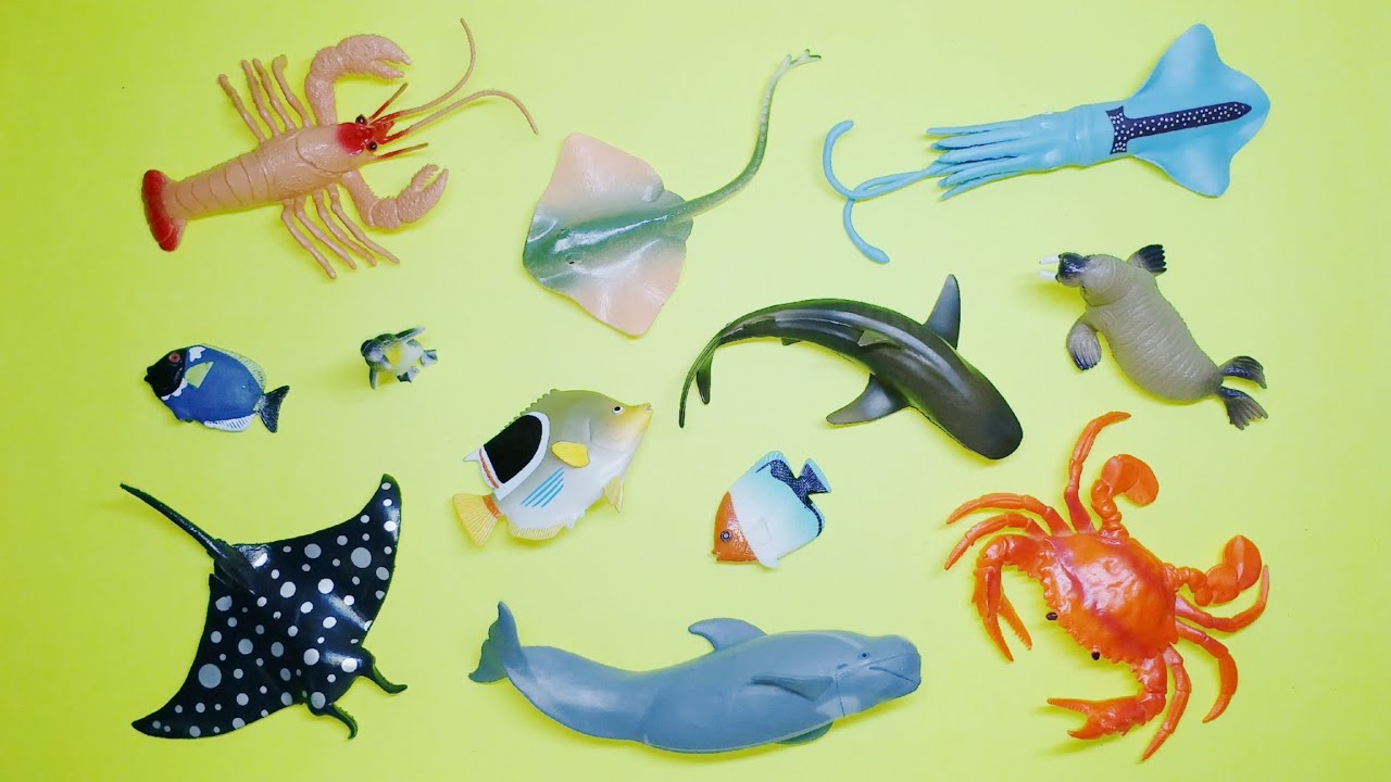 Hunting Found Sea Animals Clown Fish, Hammerhead Shark, Orca Whale ...