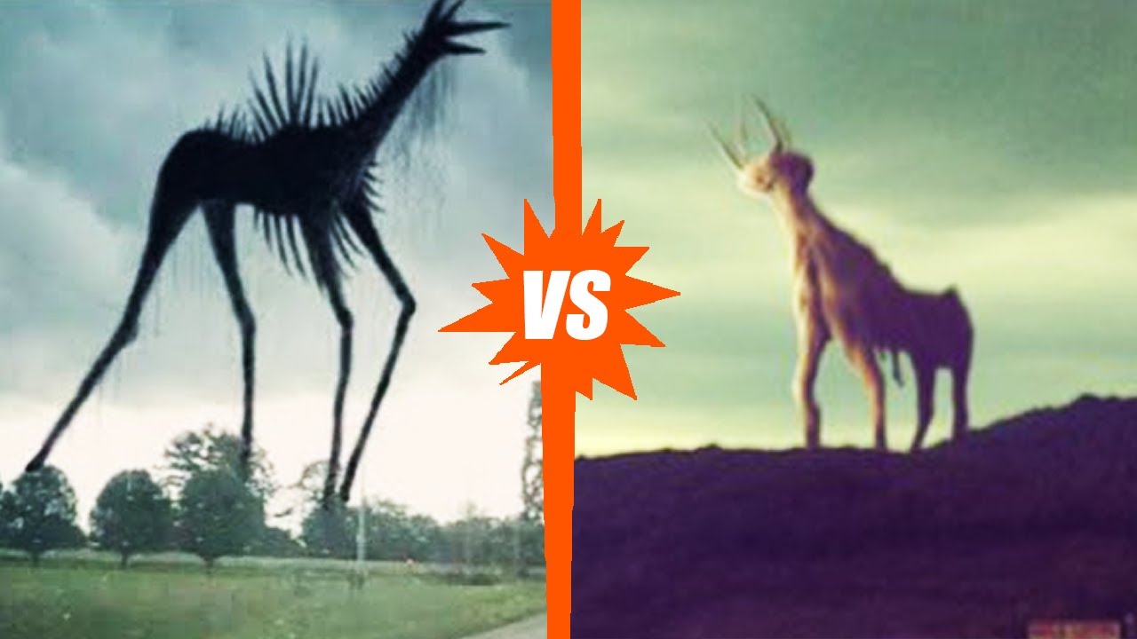 Country Giant vs Watchtower | SPORE - YouTube