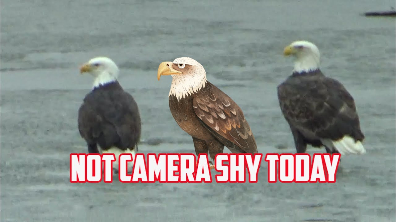 Not Camera Shy Today #3191 - YouTube