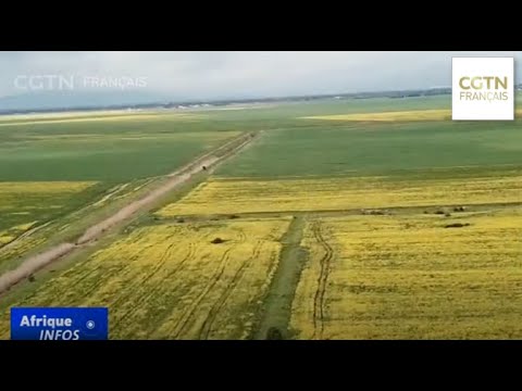 Tunisie : le groupe Telnet lance un service par satellite - YouTube