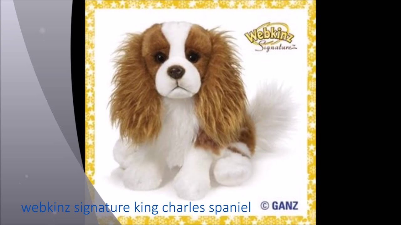 My webkinz signature wish list - YouTube