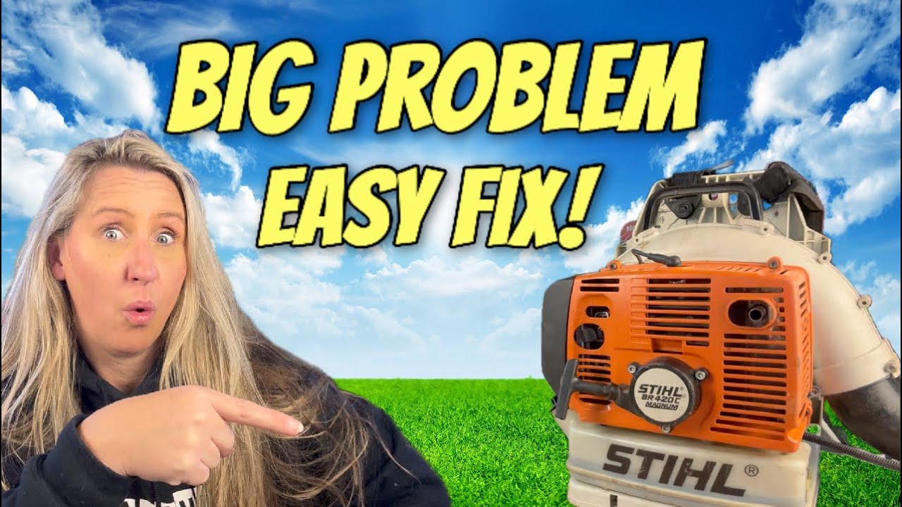 Stihl Backpack Blower Saved From Scrap Yard! How To Diagnose and Repair ...