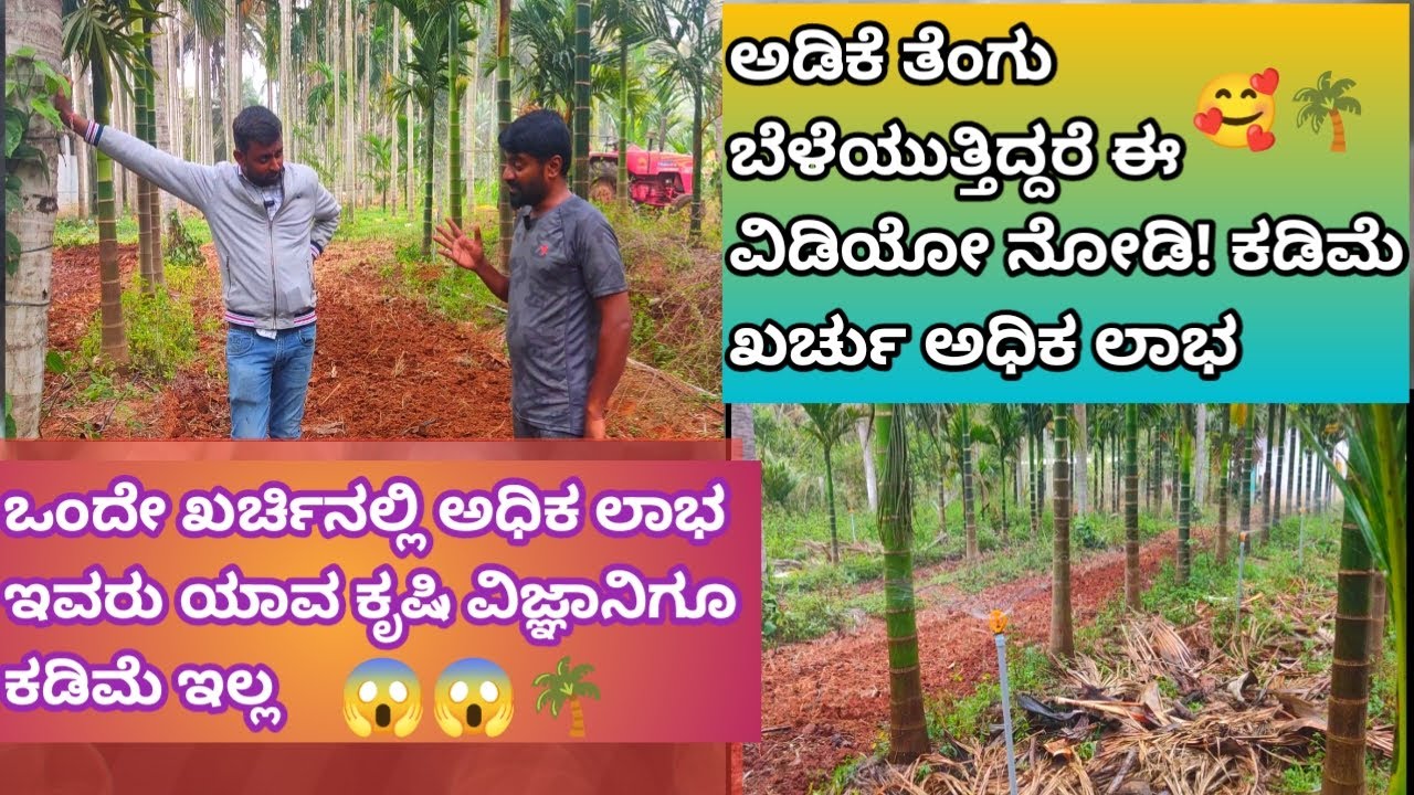 ಅಡಿಕೆ ತೆಂಗು ಬೆಳೆಯುತ್ತಿದ್ದರೆ? ನೀರಿನ ನಿರ್ವಹಣೆ ಕಡಿಮೆ ಖರ್ಚು ಅಧಿಕ ಲಾಭ😱#adike ...