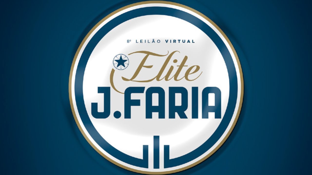 Lote 15 (Plaza FIV J. Faria - NELF 1233) - YouTube