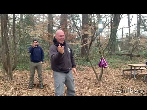 Attention to Twisting Detail