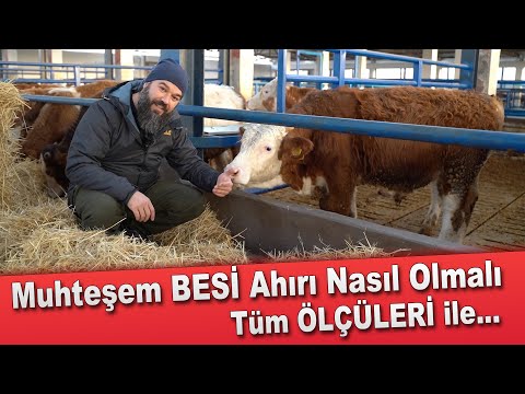 HARİKA BESİ AHIRI NASIL OLMALI