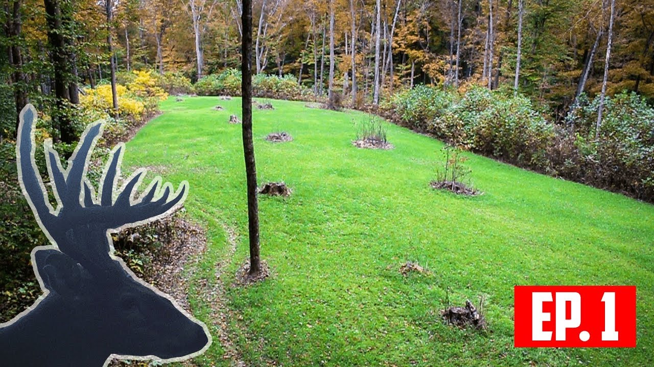 It's About to Be ON! Indiana Deer Season 2019 - YouTube