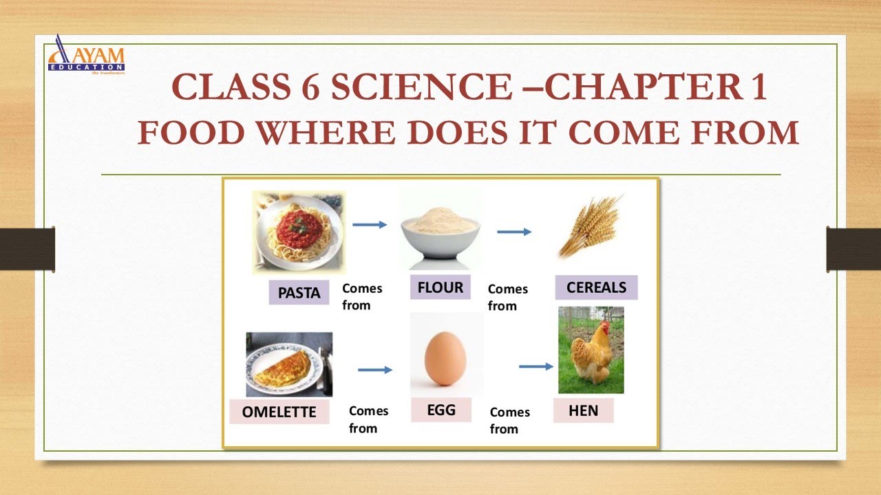 CLASS 6 SCIENCE CHAPTER 1 FOOD WHERE DOES IT COME FROM PART 3 class-6-science-chapter-1-food-where-does-it-come-from-part-3