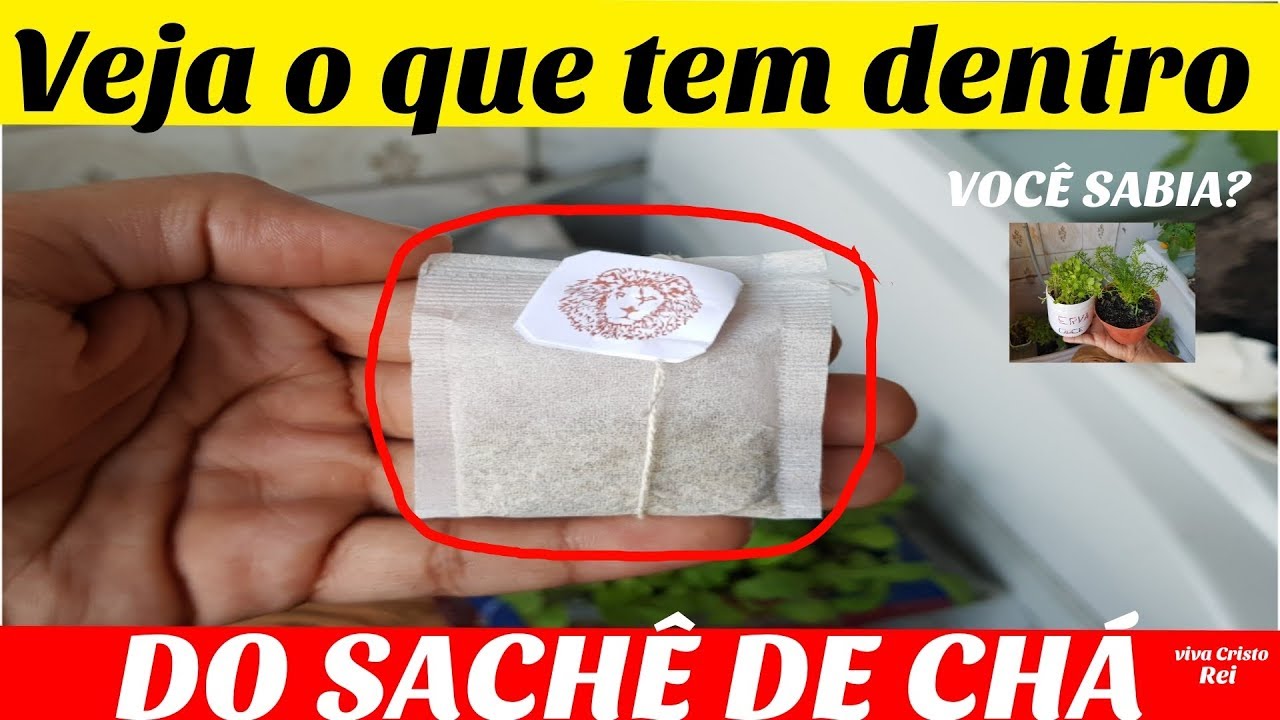 VEJA O QUE TEM DENTRO DESSE SAQUINHO DE CHÁ. INCRÍVEL - YouTube