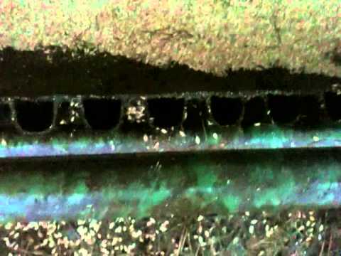 Culvert Pig Feeder 3 - YouTube