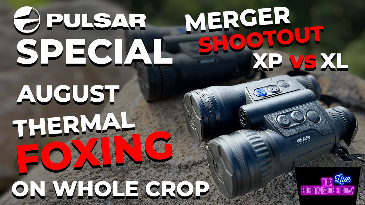 Pulsar Special! - Merger XP vs XL and August Pulsar Foxing on Whole ...