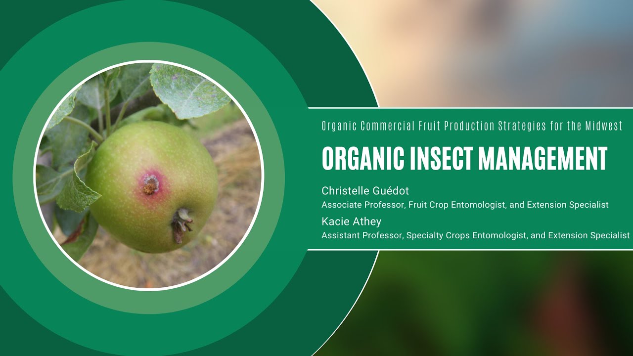 Organic Insect Management: Organic Commercial Fruit Production ...