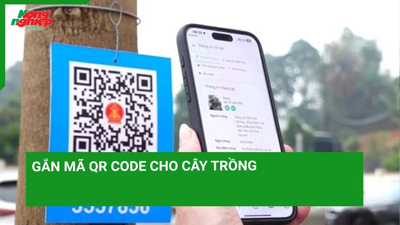 Gắn mã QR Code cho cây trồng - YouTube
