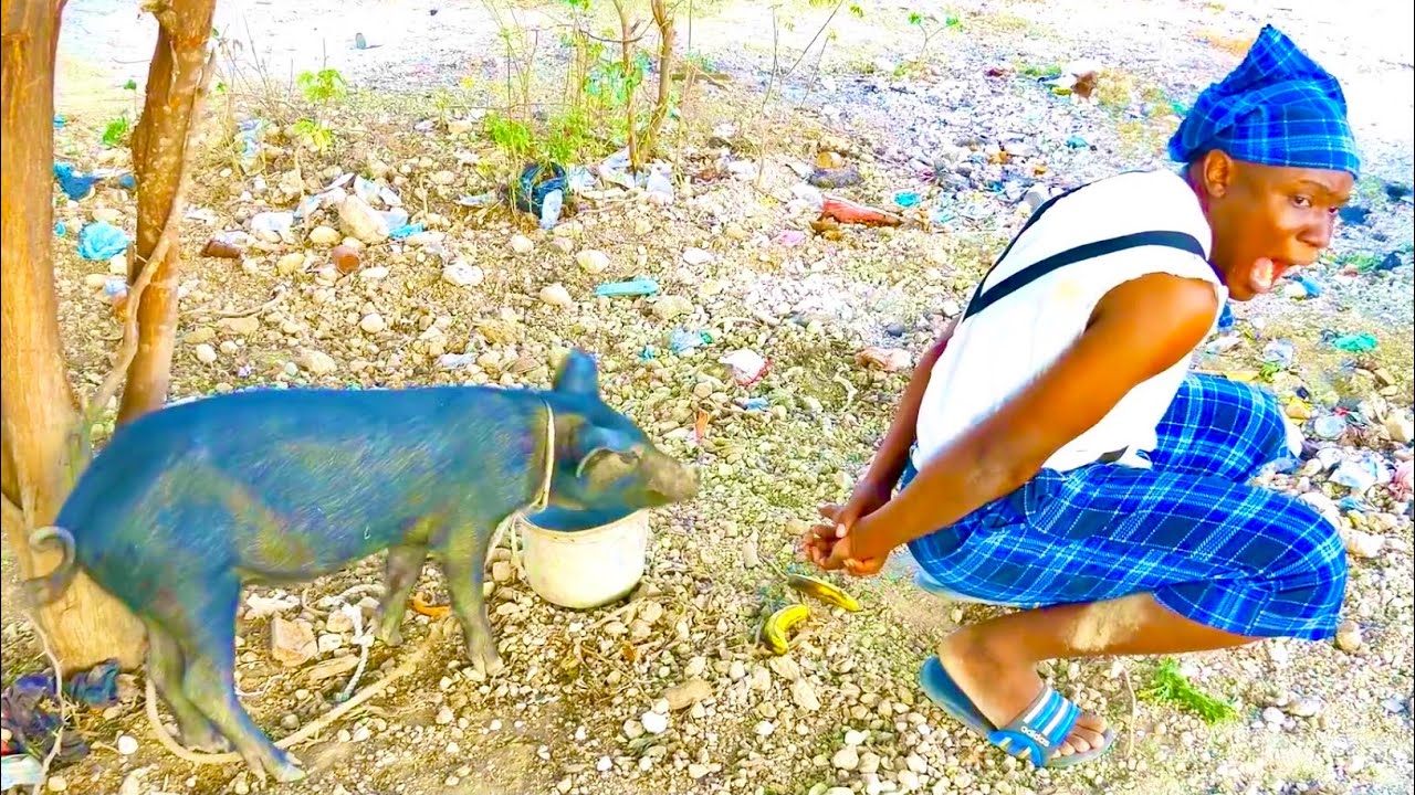 bibi - Must Watch New Funny Video 2021 Top New Comedy Video 2021 Try To ...