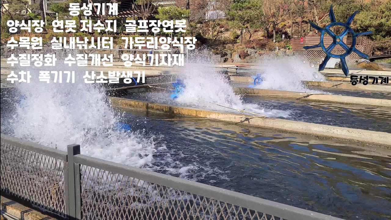송어양식장 양어장 양식장 낚시터 실내낚시터 바다실내낚시터 골프장연못 가두리양식장 수차 폭기기 수질개선 수질정화 하수종말처리장