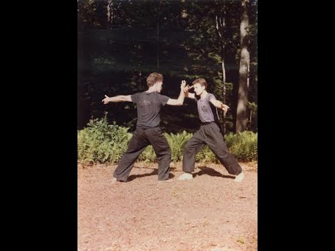 Paul Gallagher Interview: Stories of Master T.T. Liang. #paulgallagher#drawingsilk#ttliang - YouTube