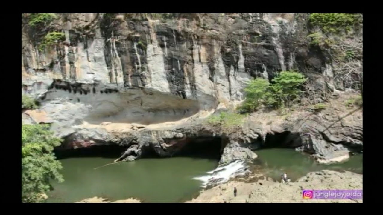 Jungle Joy Home Stay Joida Dandeli ll Bahar ki Activity Ulavi ll - YouTube