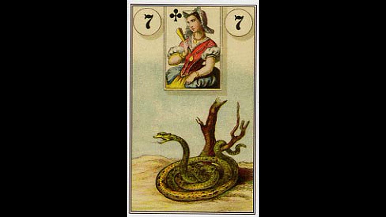 Serpente Baralho Cigano Combinações - RETOEDU