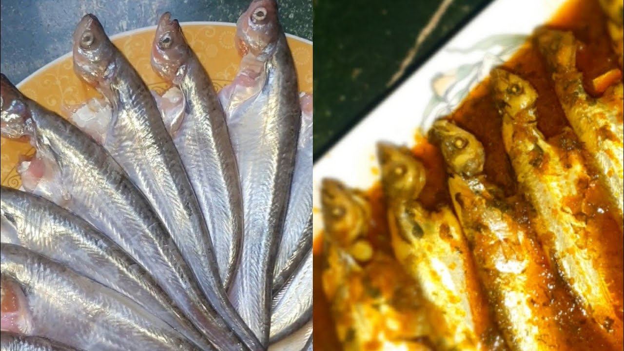 পাবদা ভুনা রেসিপি|||| pabda Fish recipe - YouTube
