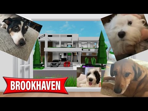 My Family Dogs Play ROBLOX Brookhaven! - YouTube