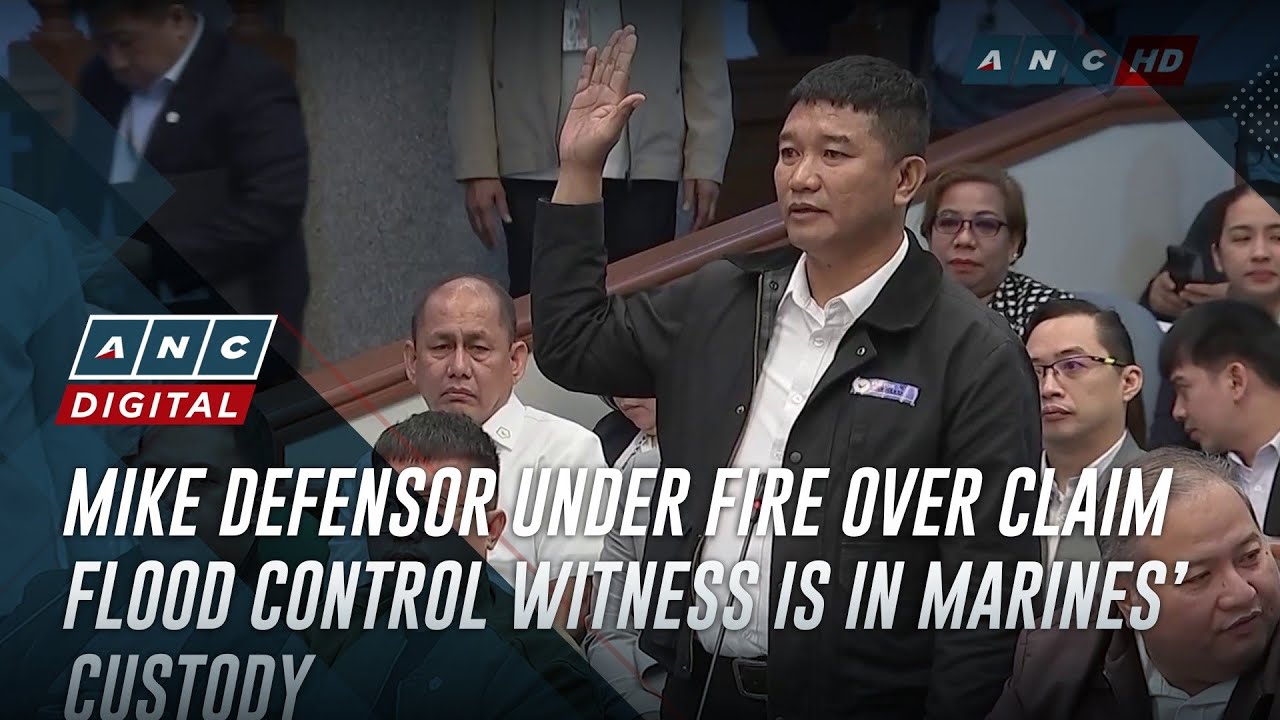 Mike Defensor under fire over claim flood control witness is in Marines ...