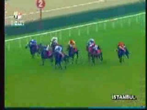 Ribella - Halis Karataş / Anadolu Koşusu (2005)