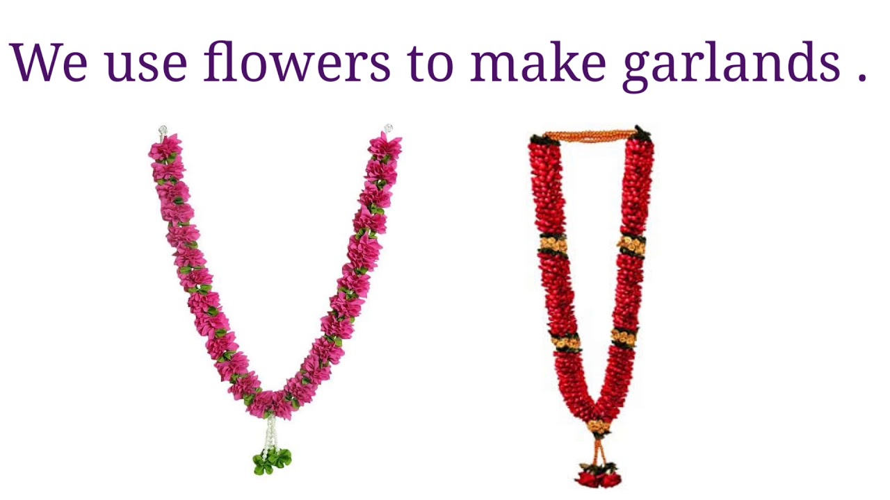 Uses of flowers LKG Science - YouTube