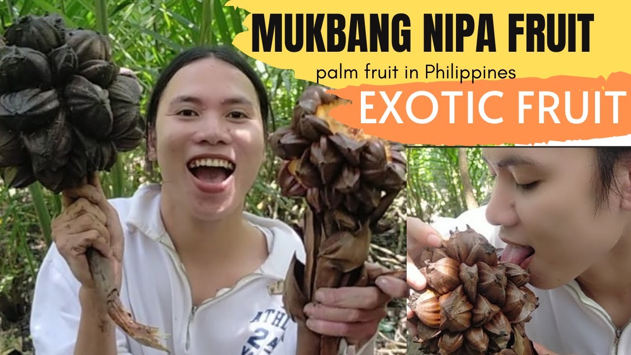 Eating Palm Fruit "Nipa" | Mukbang Exotic tropical fruit in the ...