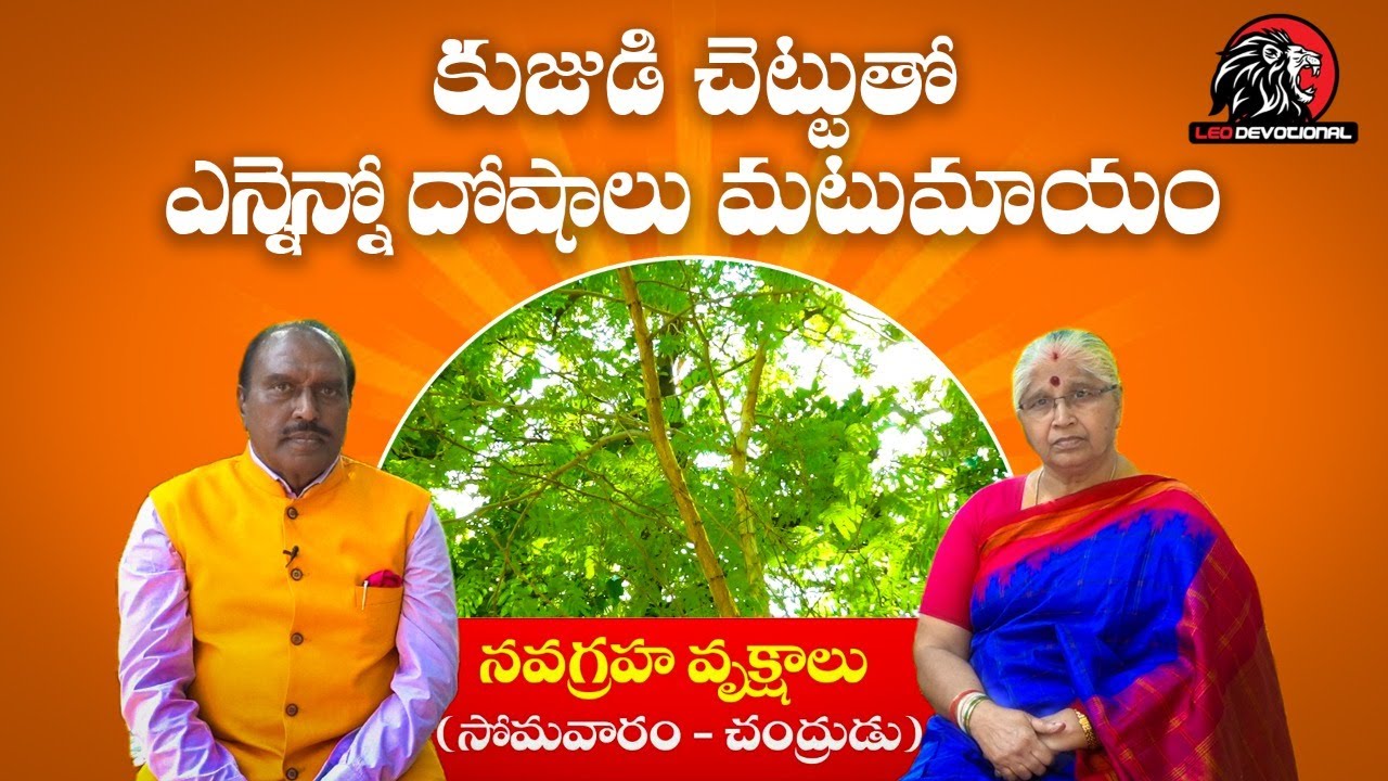 కుజుడి చెట్టుతో ఎన్నెన్నో దోషాలు మటుమాయం | Special Story On Navagraha ...