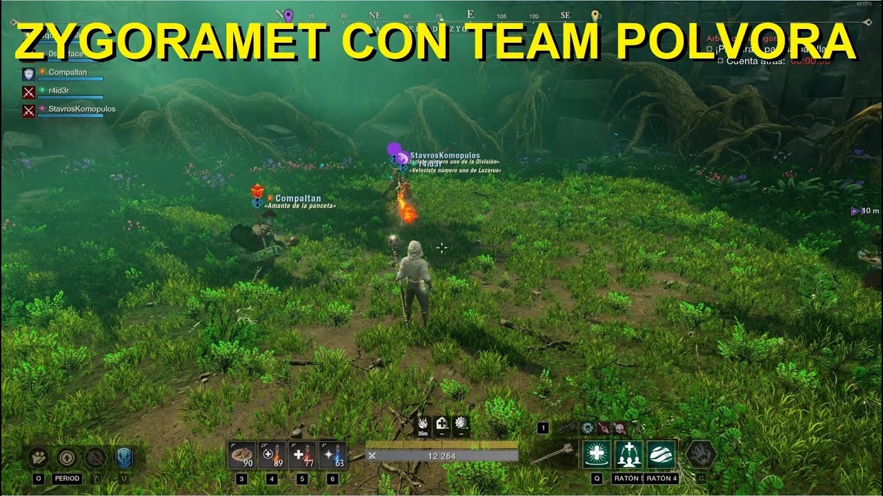 HACEMOS 10 ARBOLEDA DE ZYGORAMET Y ENEADA FULL DPS | NEW WORLD ...