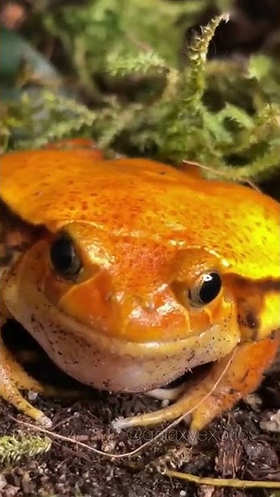 YOU KNOW YOU BAD WHEN YOU CAN POSE FROM ANY ANGLE - YouTube