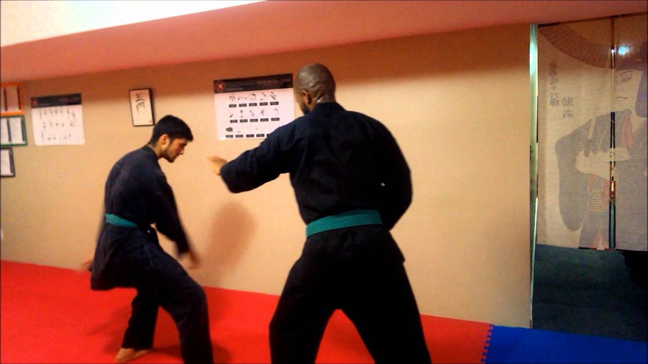 Kage Musha Dojo- Power of the palm strike - YouTube
