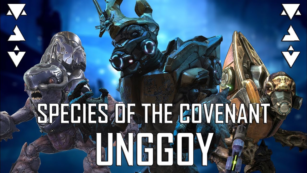 The Covenant Races Halo