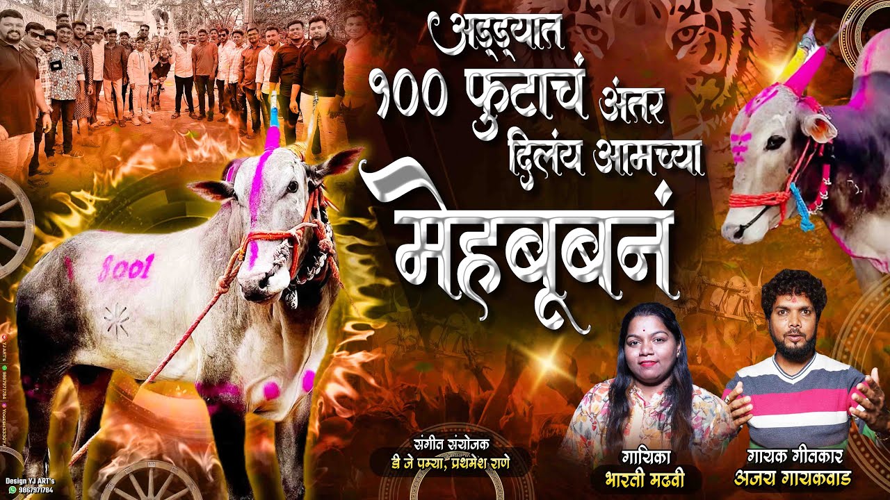 100 फुटाचा अंतर दिलाय || mehboob bail badlapur || dj pamya || ajay ...