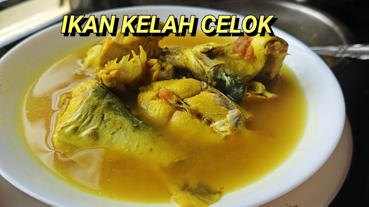 IKAN MAYONG/OTEK MASAK KUAH CILUT | KELLA CELOK BOYAN/BAWEAN - YouTube