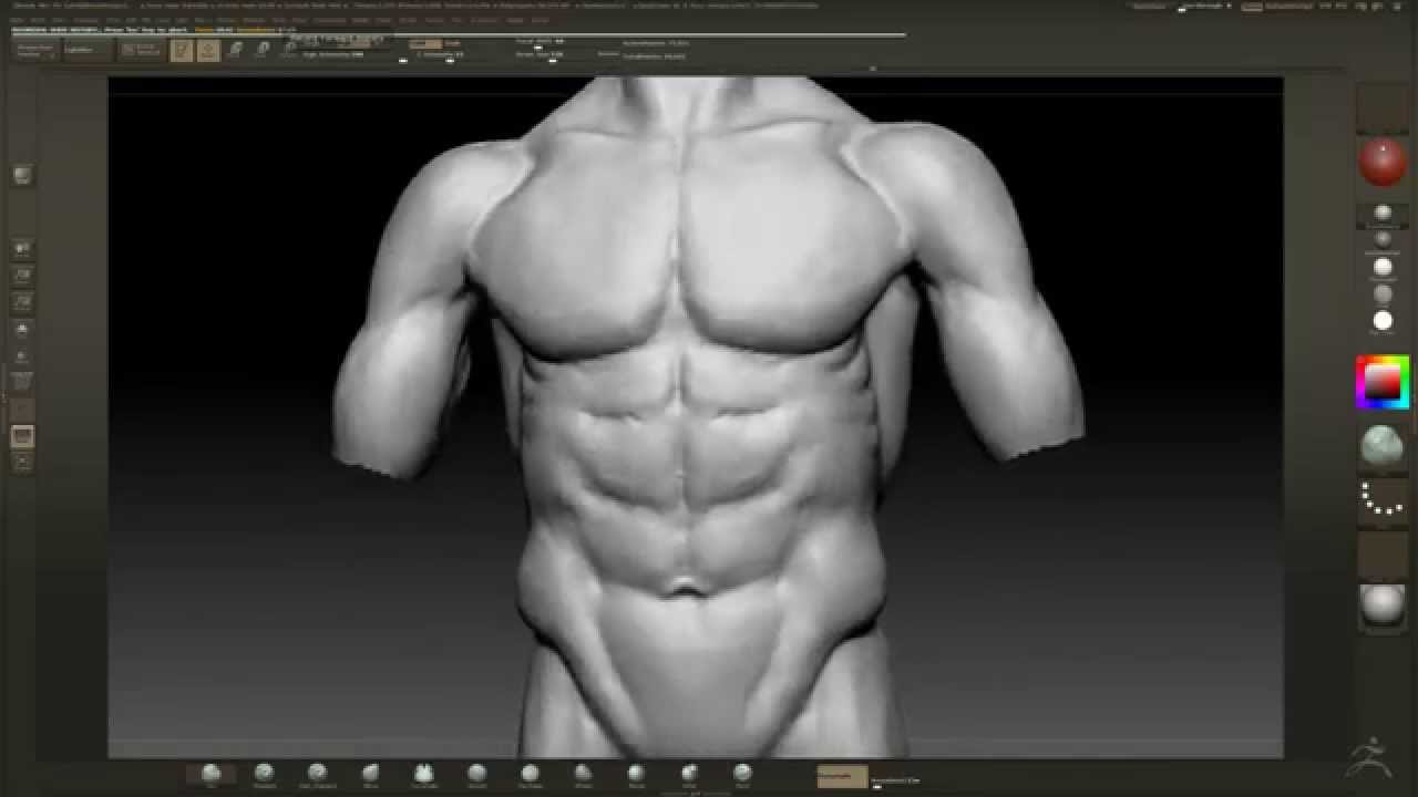 Zbrush anatomy study - YouTube