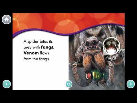 Spiders _ Kids Book Read Aloud _ Story Time with Khan Academy Kids ...