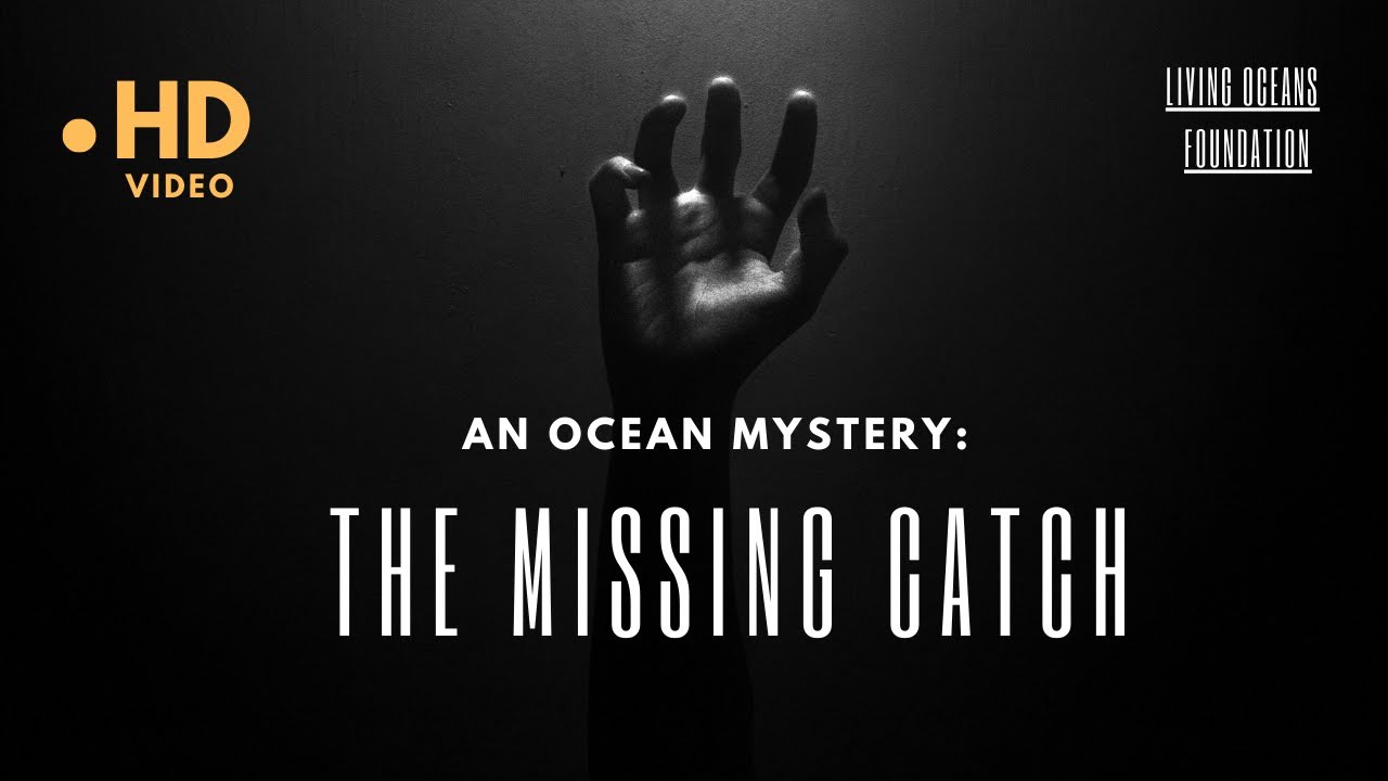 An Ocean Mystery: The Missing Catch - Investigating the Disappearance ...