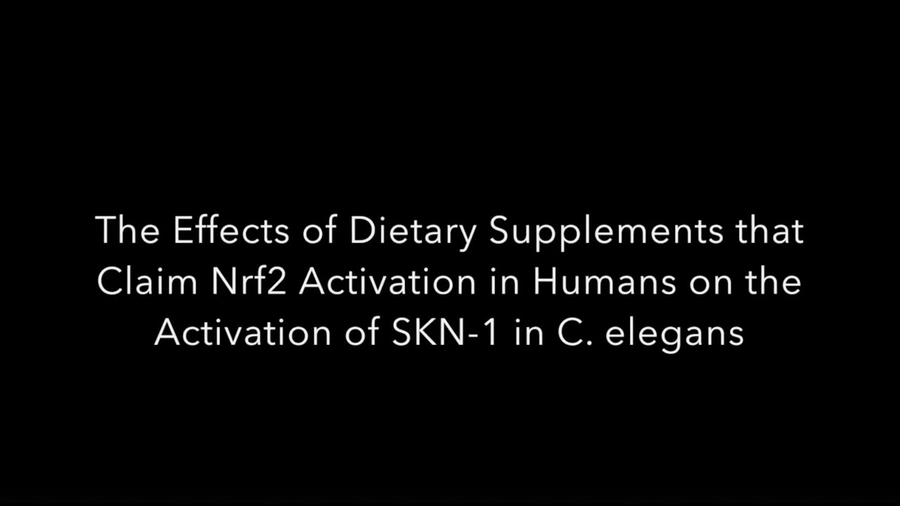 Sophomore Year Science Project - YouTube