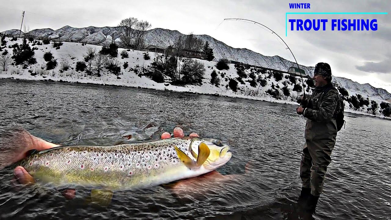 Colorado River: Fishing NEW SPOTS on the Colorado River (Channel Update ...