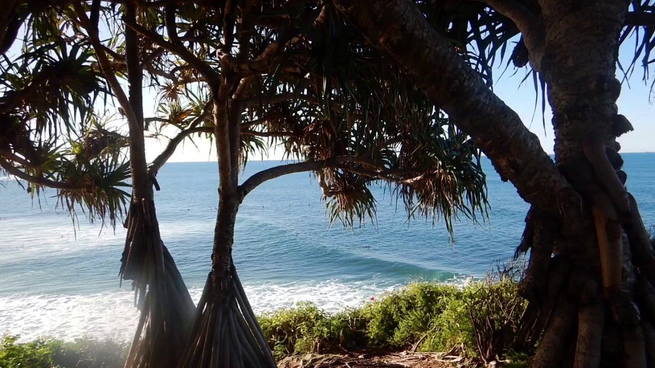 The Coastal Pathway on the Sunshine Coast - YouTube