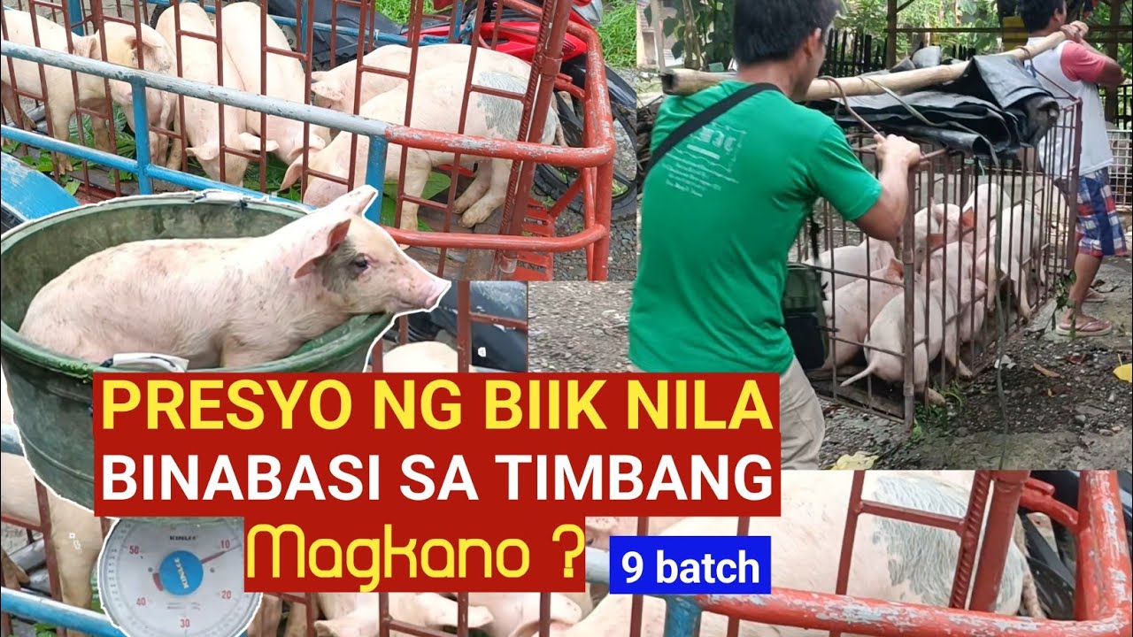 PRESYO NG BIIK NILA BINABASI SA TIMBANG l MAGKANO l Dodong Villaran ...